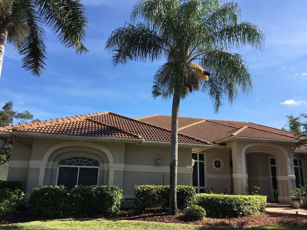 Clearly Amazing Exterior House Cleaning Professionals