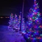 Clearly Amazing - Professional Holiday and Christmas Light Installation