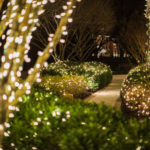 Clearly Amazing - Professional Holiday and Christmas Light Installation