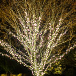 Clearly Amazing - Professional Holiday and Christmas Light Installation