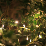 Clearly Amazing - Professional Holiday and Christmas Light Installation