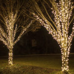 Clearly Amazing - Professional Holiday and Christmas Light Installation