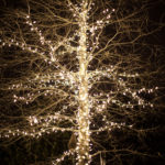 Clearly Amazing - Professional Holiday and Christmas Light Installation