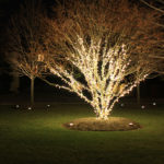 Clearly Amazing - Professional Holiday and Christmas Light Installation