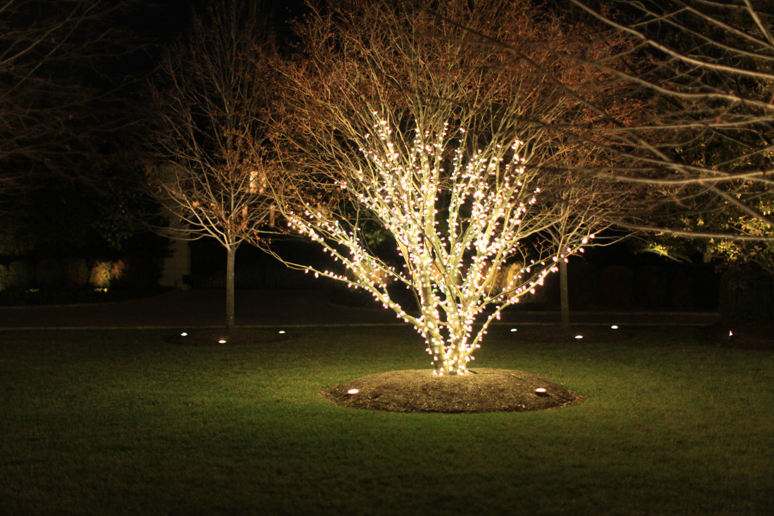Clearly Amazing - Professional Holiday and Christmas Light Installation