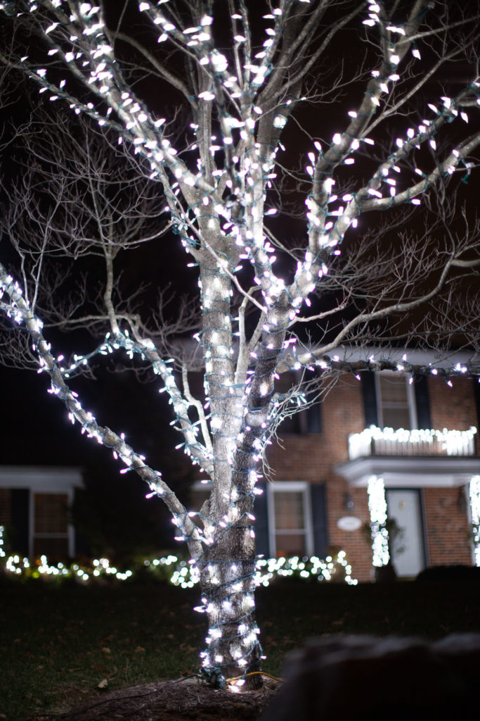 Clearly Amazing - Professional Holiday and Christmas Light Installation