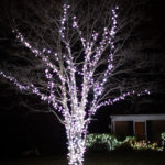 Clearly Amazing - Professional Holiday and Christmas Light Installation