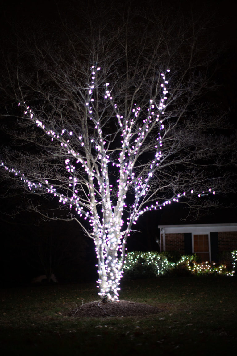 Clearly Amazing - Professional Holiday and Christmas Light Installation