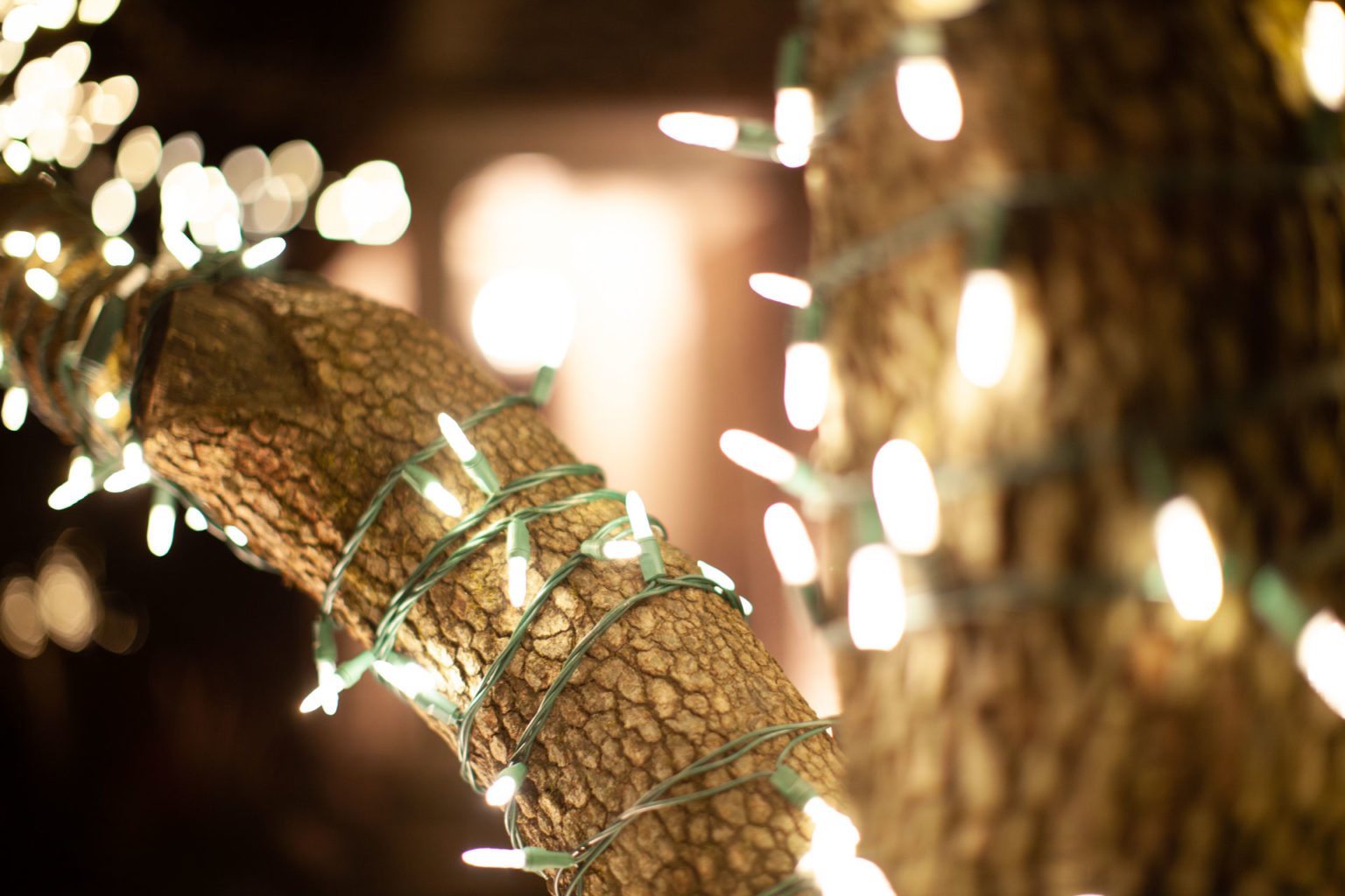 Clearly Amazing - Professional Holiday and Christmas Light Installation