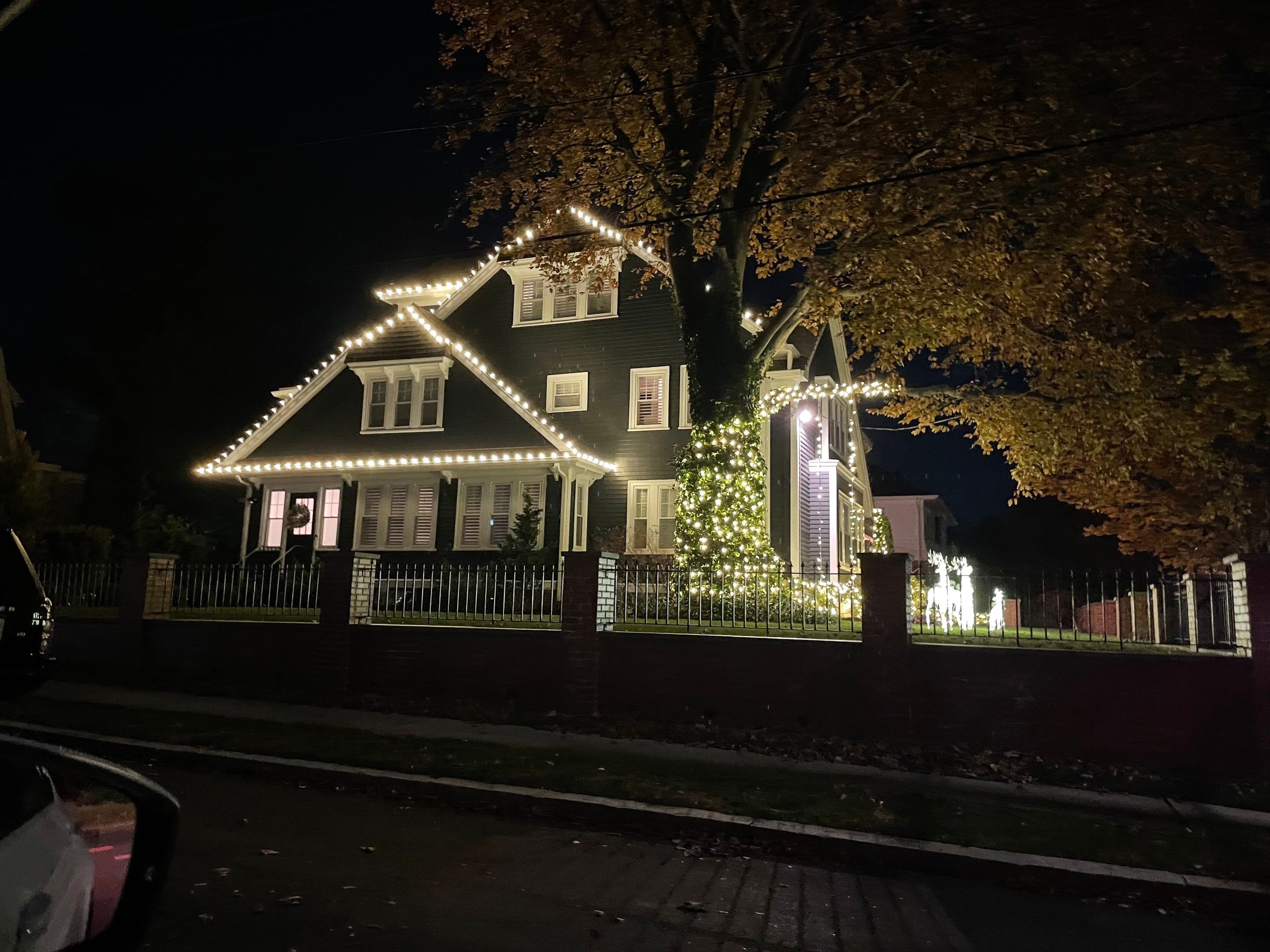 Clearly Amazing - Professional Halloween Lighting Installation